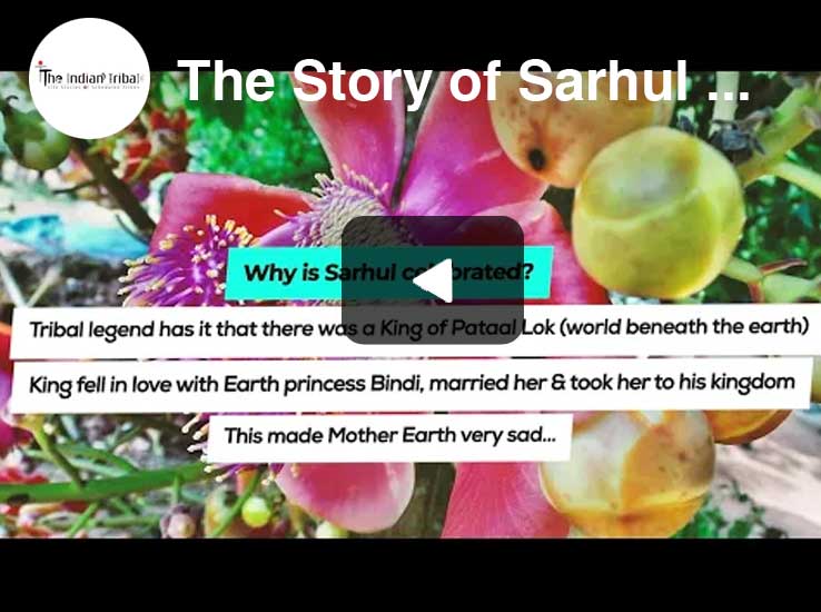 The Indian Tribal News in India | Tribal News | Tribes News Today ...