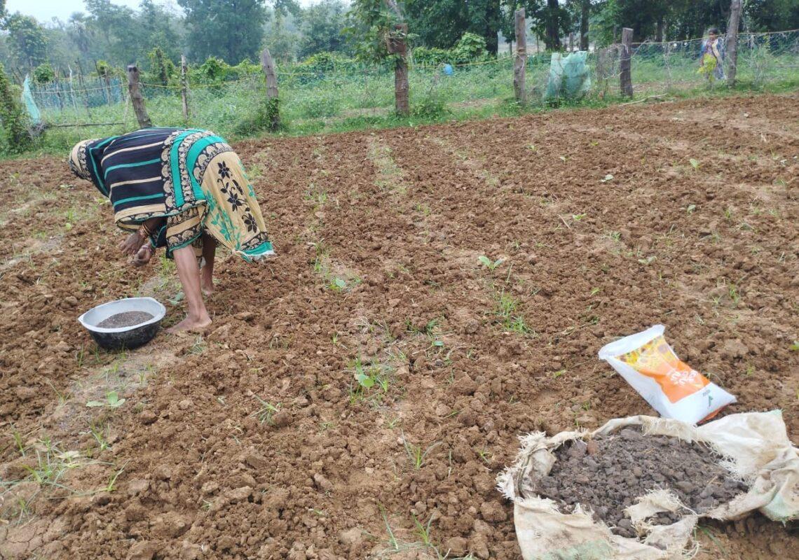 Twin ‘Astras’ To Boost Organic Farming In Odisha - The Indian Tribal
